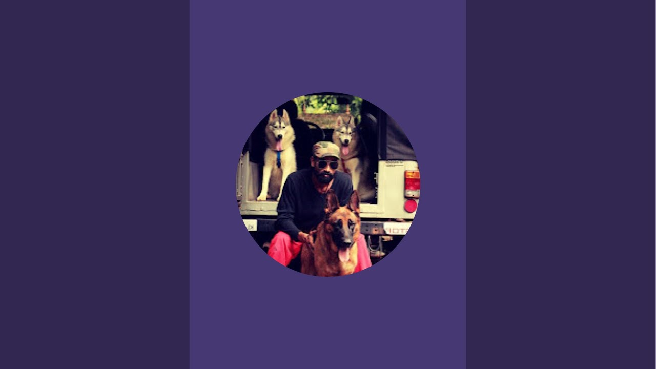 Good Morning Guys ☀️ Monomark is Live | Real Dog Behaviour Training ...