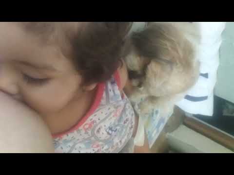 16 de outubro de 2022