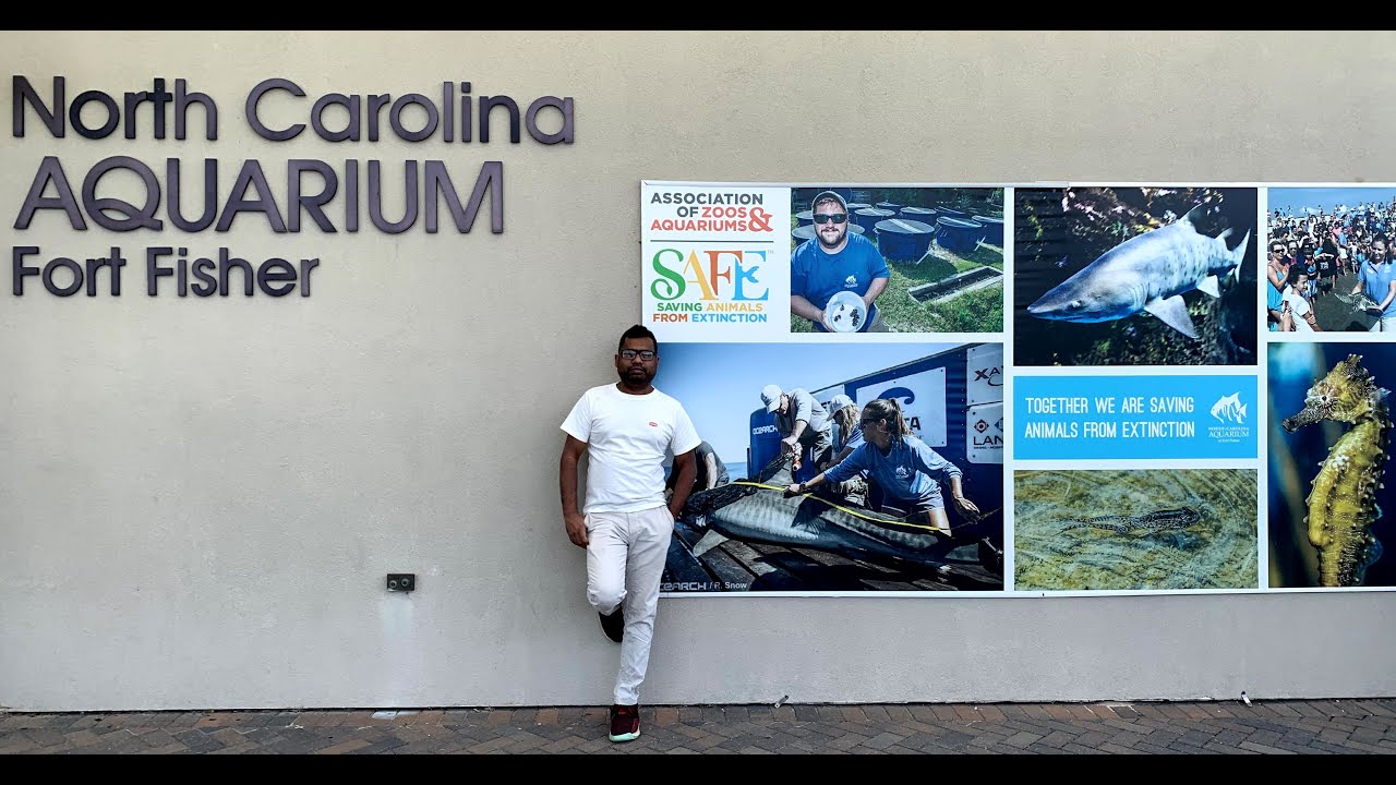North Carolina Aquarium Fort Fisher Part 1 - YouTube