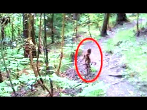 5 Mysterious Encounters With Otherworldly Entities That Can't Be ...