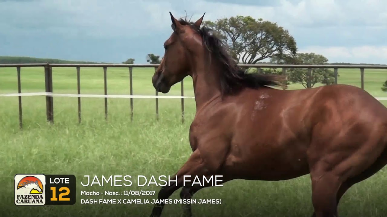 LOTE 12 - JAMES DASH FAME - YouTube
