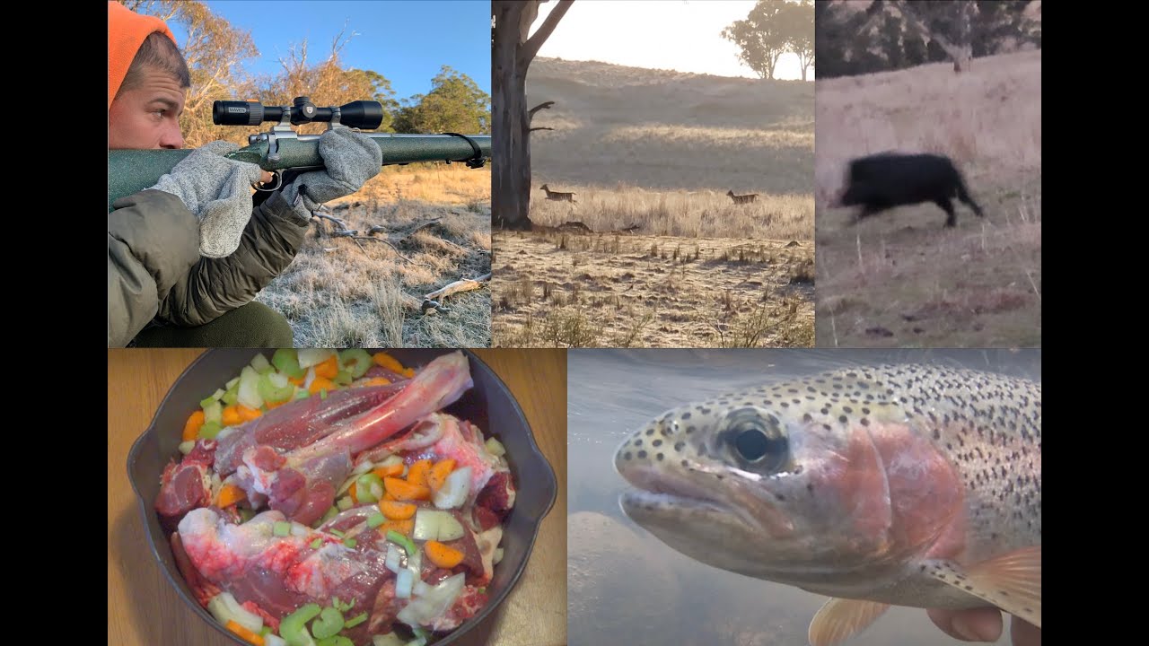 Hunter/Harvester 7 - Winter Pigs & Deer, Venison Shoulder Recipe, Late ...