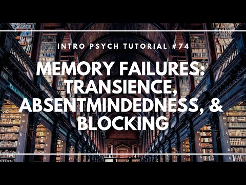 What Is Transience In Psychology