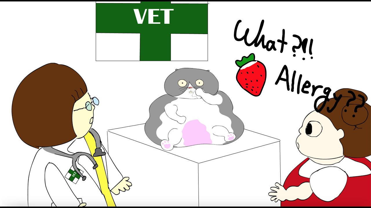 Strawberry Allergy Short Animated Film - YouTube