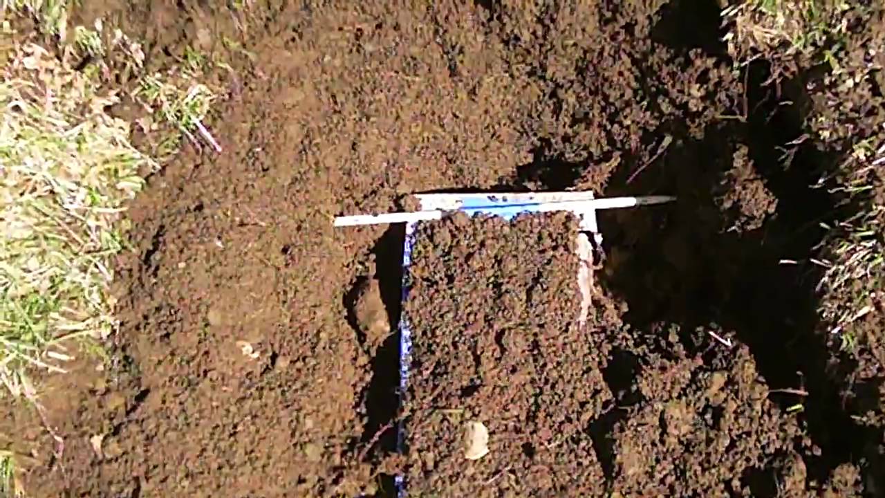 violent homicide digging up body - YouTube