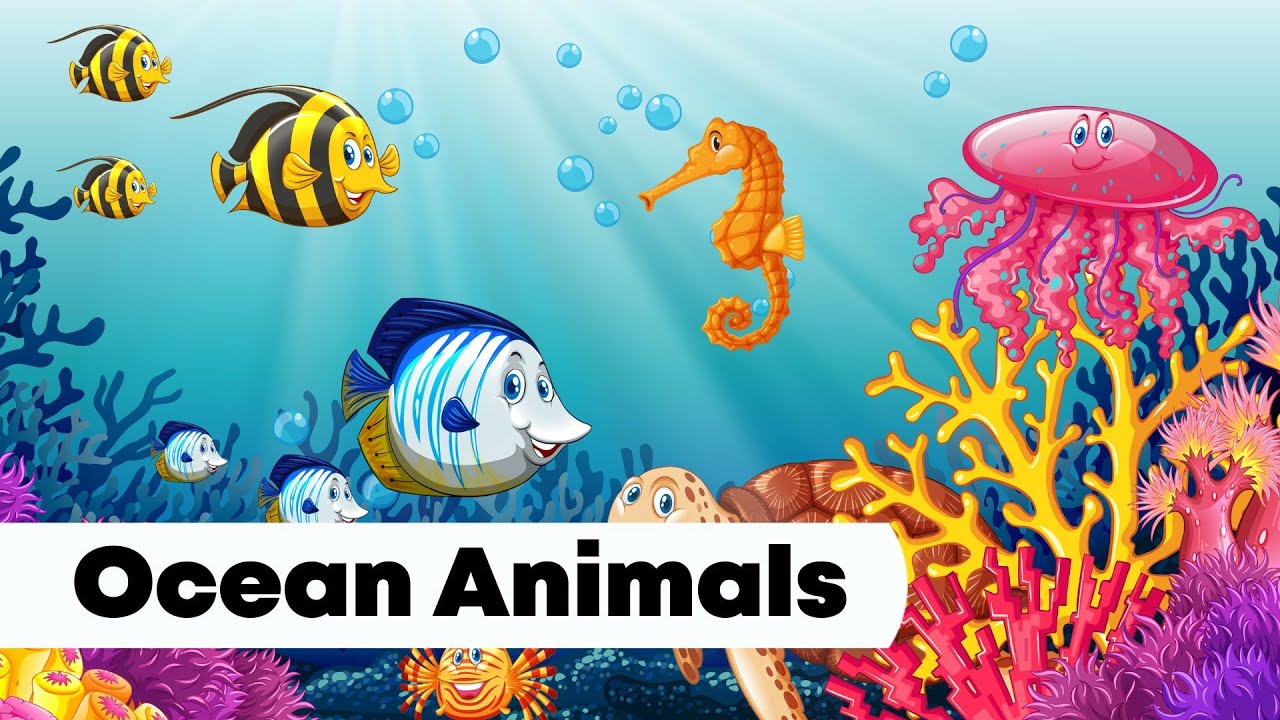 Ocean Animals for toddler | Aquatic animals for kids | Smart Kiddos ...