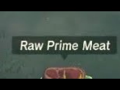 Fastest vehicle in TOTK - YouTube