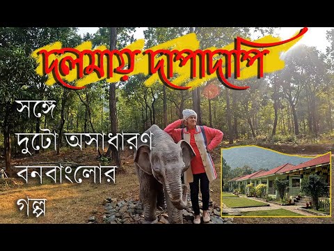 Dalma Wildlife Sanctuary Tour Dec. 2023 শীতে যান দলমা পাহাড়। এক্কেবারে ...