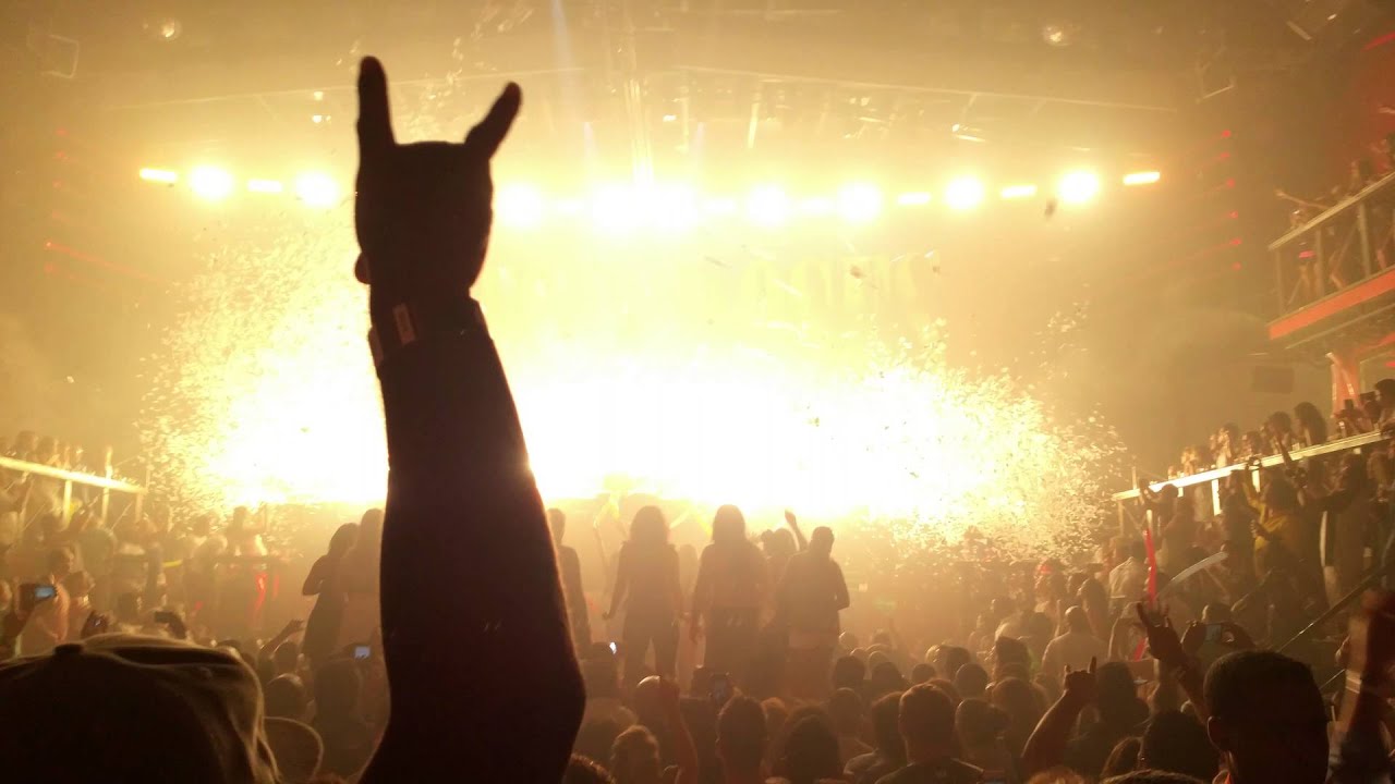 Coco Bongo Guns N' Roses Punta Cana - YouTube