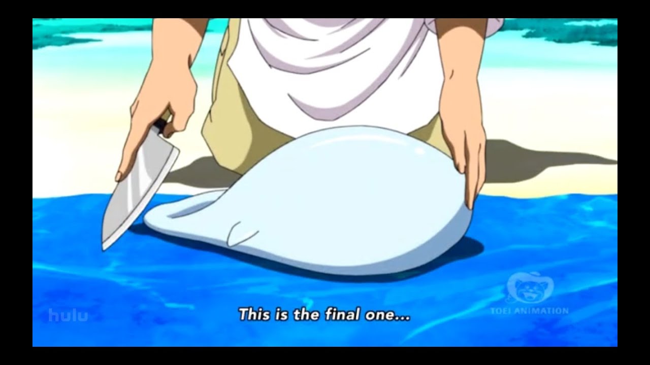 TORIKO...,,PUFFER WHALE ARC BITCHES! - YouTube