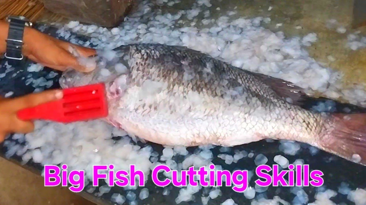 Big Fish Amazing Cutting Skills | Fish Cutting by Expert | Live From ...