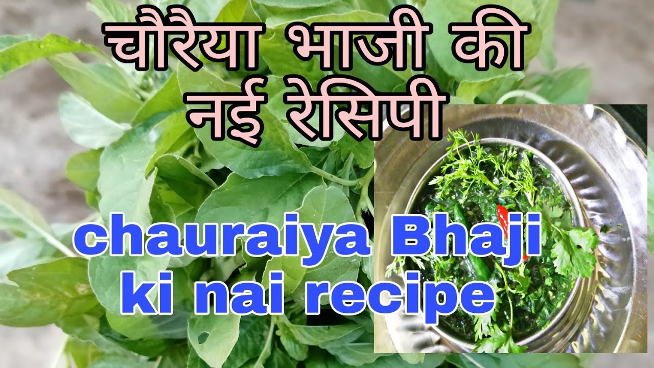 Chauraiya Bhaji Ki Naye Recipe😋😋😋//चोरिया भाजी बनने की विधि😋😋😋 - YouTube