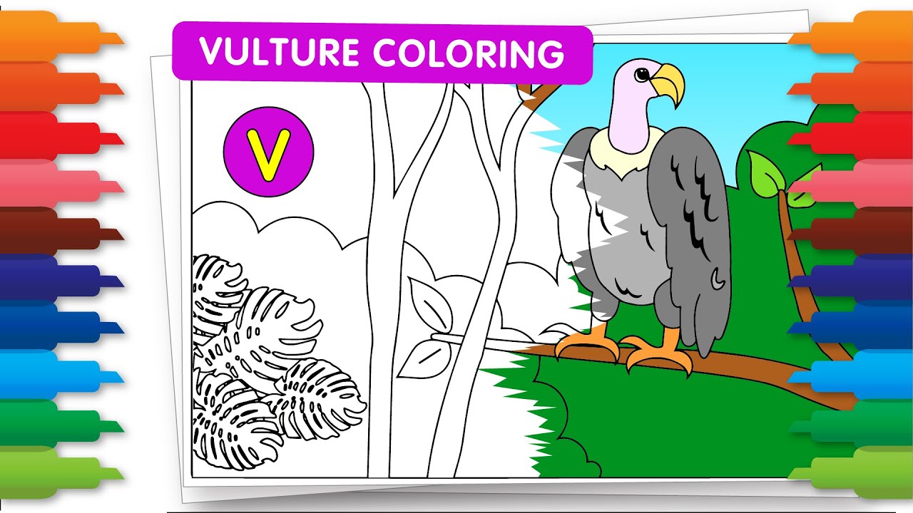 Animals ABC Coloring Fun: Vulture Comes Alive | Letter V - YouTube