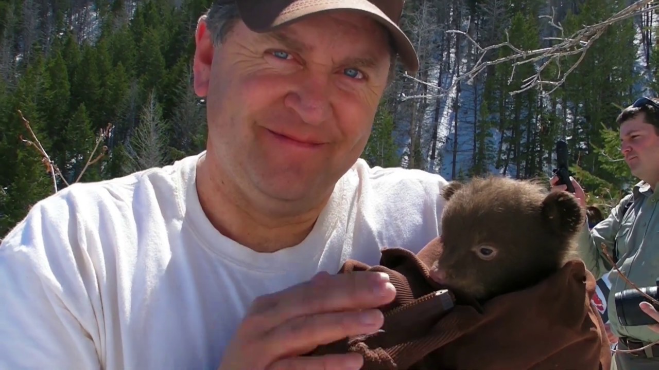 Scott Root's wonderful career with wildlife - YouTube