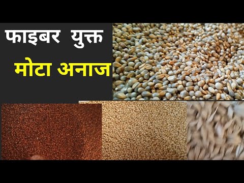 बाजरा, रागी, जौ, मक्का ||Mote anaj ke fayde or jankari|| - YouTube