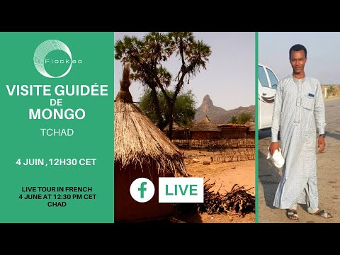 Live au Tchad - Visite guidée du marché de Mongo - YouTube