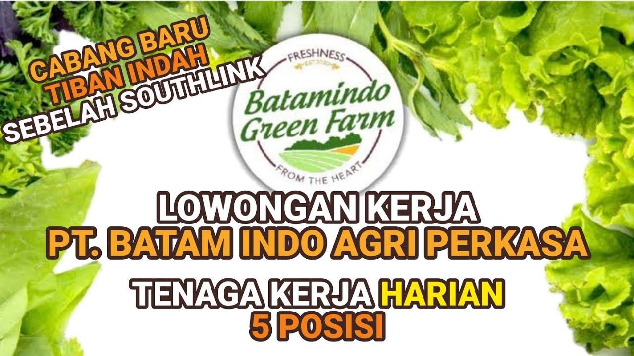 Loker Batamindo Green Farm PT Batam Indo Agri Perkasa Batam Southlink ...