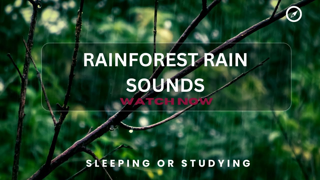 Rainforest Rain Sounds for Sleeping or Studying | White Noise Rainstorm ...