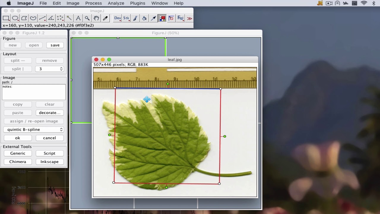 How to add images in the figure panels - YouTube