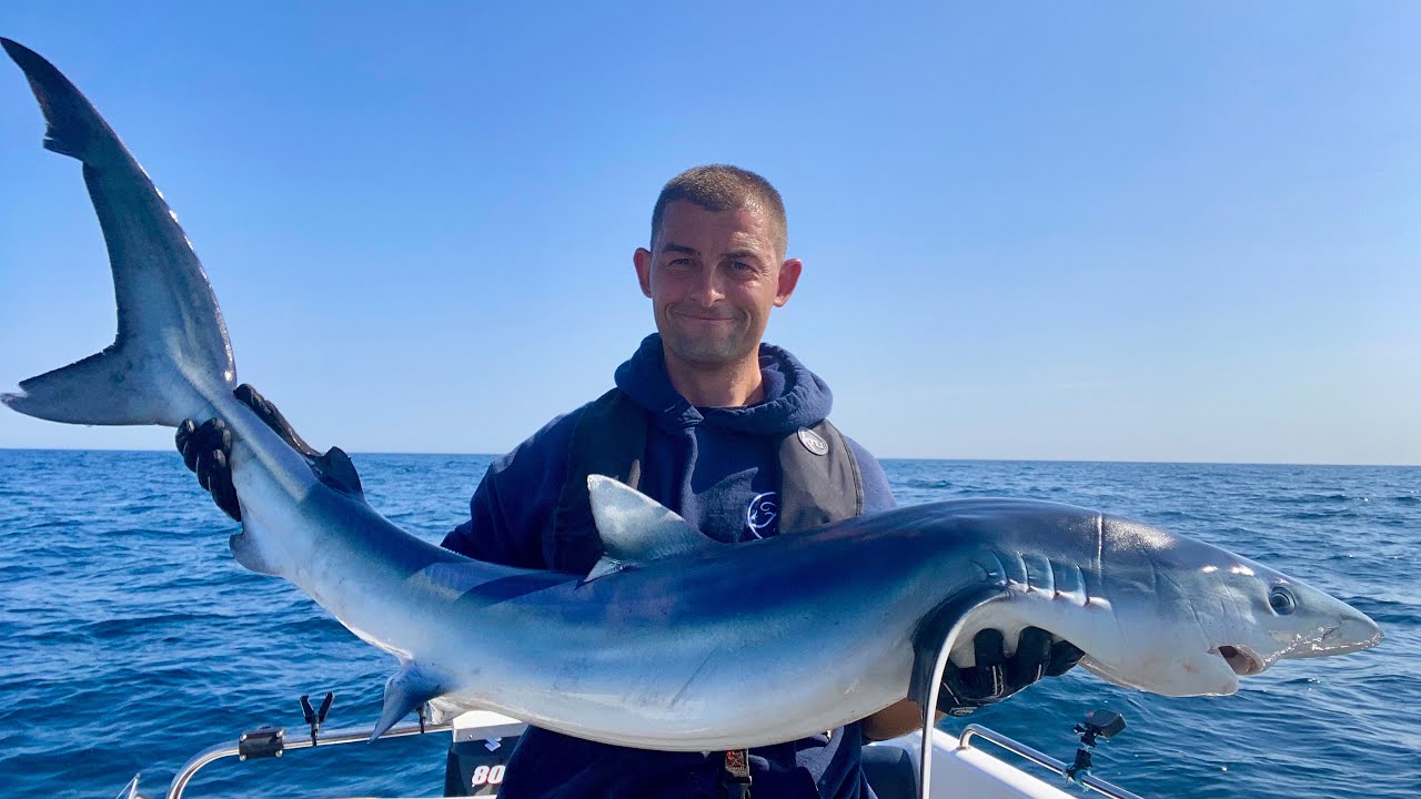 SHARK FISHING UK - Catching Sharks with Rubber Ducks! Plus AMAZING ...