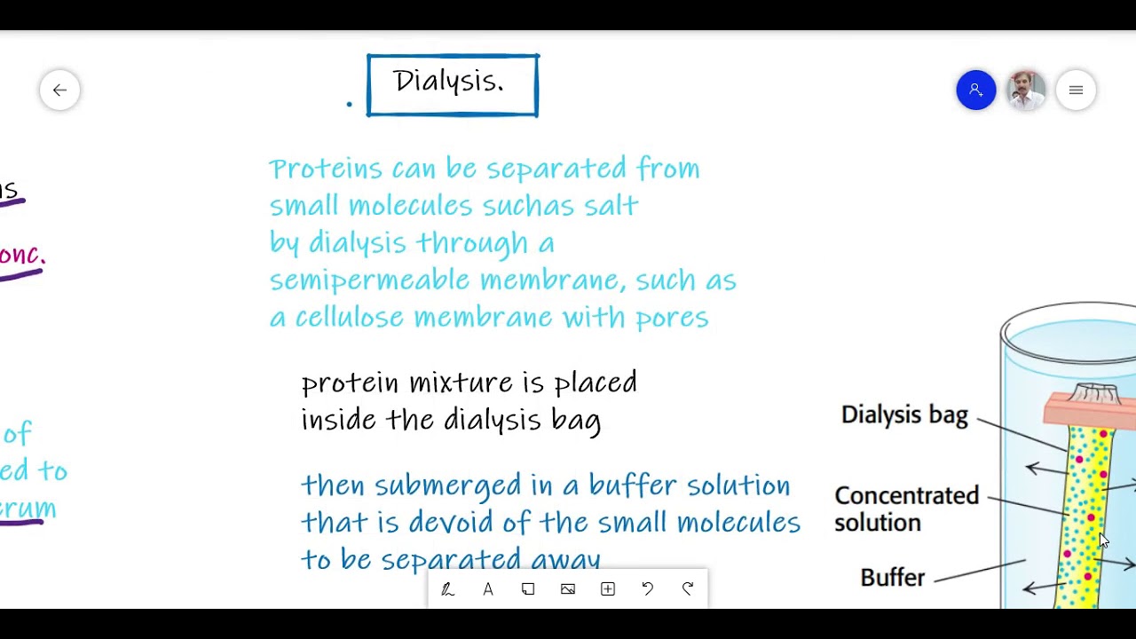 Extraction and Purification of proteins Lecture 5; Salting Out And ...