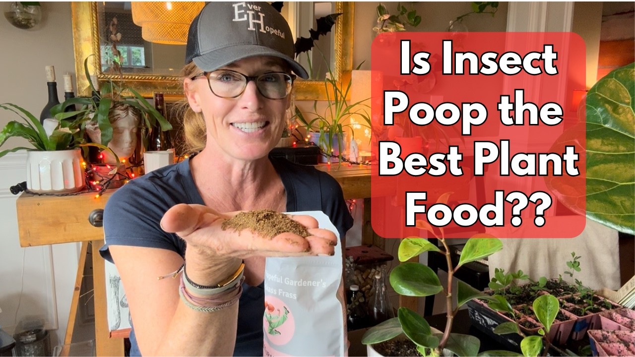 What is Insect Frass?? - YouTube
