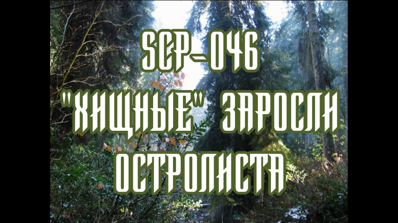 SCP-046 «Хищные» заросли остролиста - YouTube