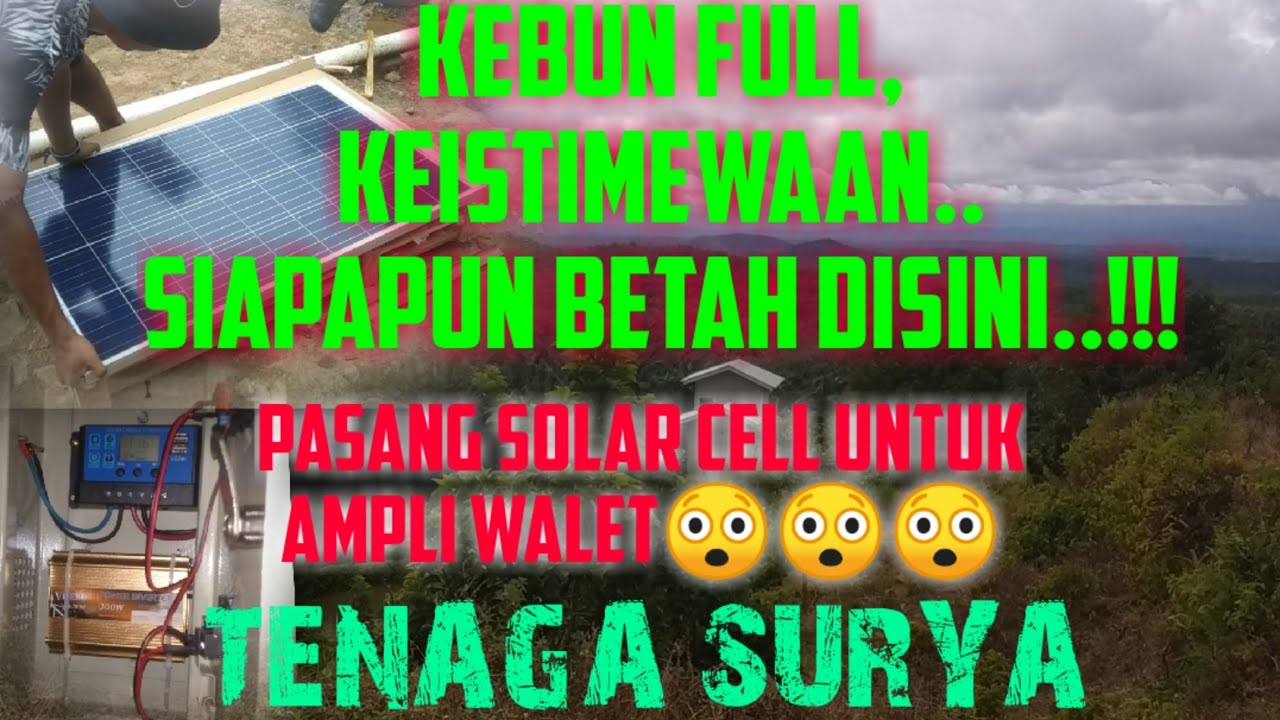 PASANG PANEL SOLAR UNTUK AMPLI WALET, SAMBIL LIBURAN KE KEBUN YANG FULL ...