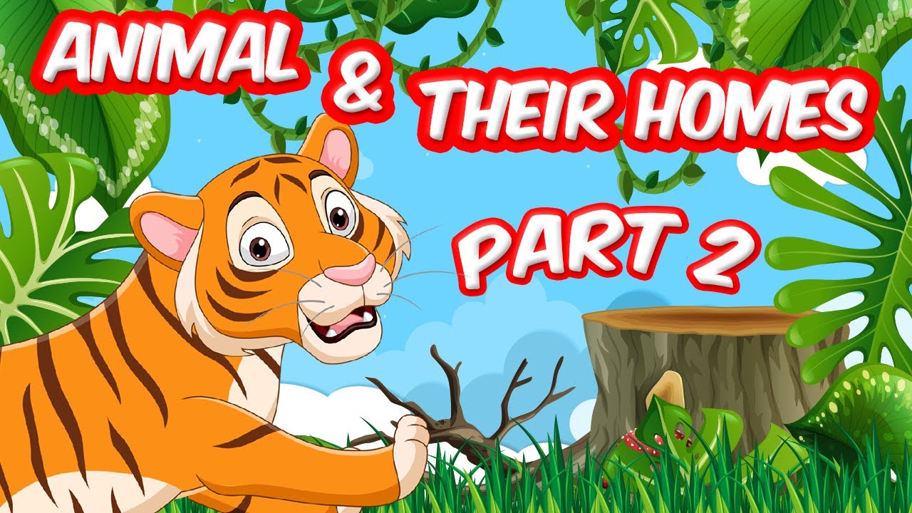 Where do Animals Live? Learn Animals & Their Homes (Part 2) | New ...
