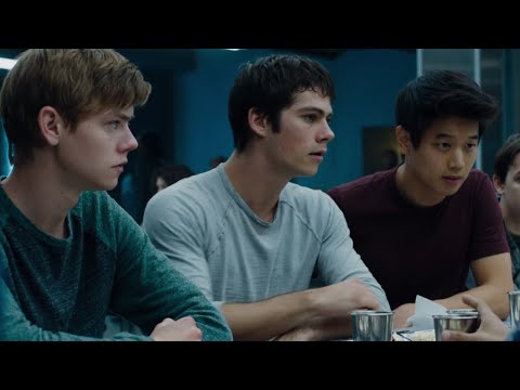 Thomas discovers there were other Mazes [The Scorch Trials]