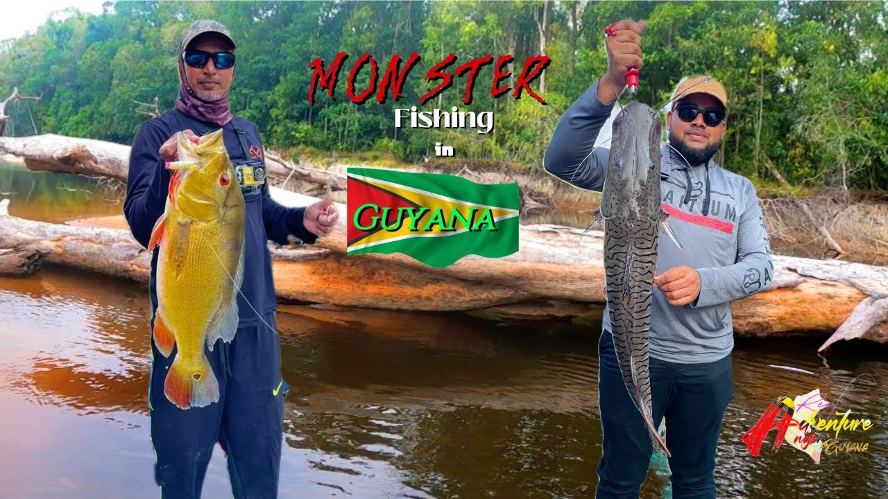 Catching Huge Fish In Guyana #monsterfishing #guyana #expedition - YouTube