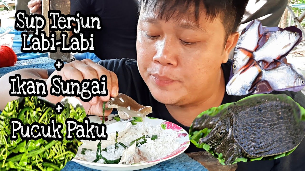 Sup Terjun Labi-Labi Campur Ikan Sungai Dan Pucuk Paku,Makanan Yang ...