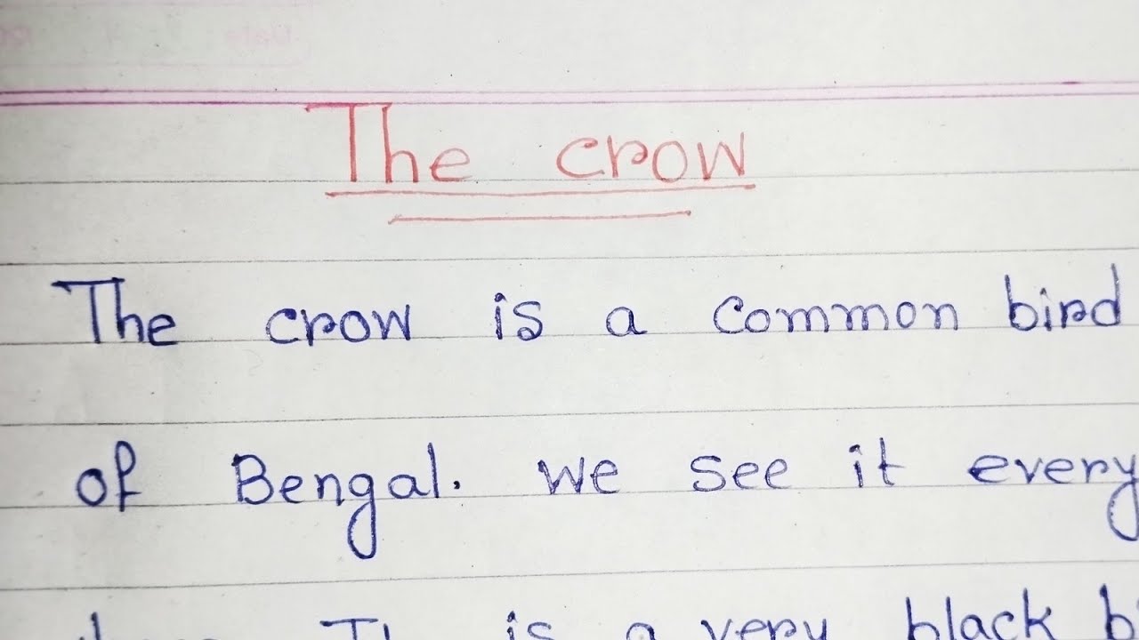 Paragraph on the crow// English paragraph // paragraph writing. - YouTube