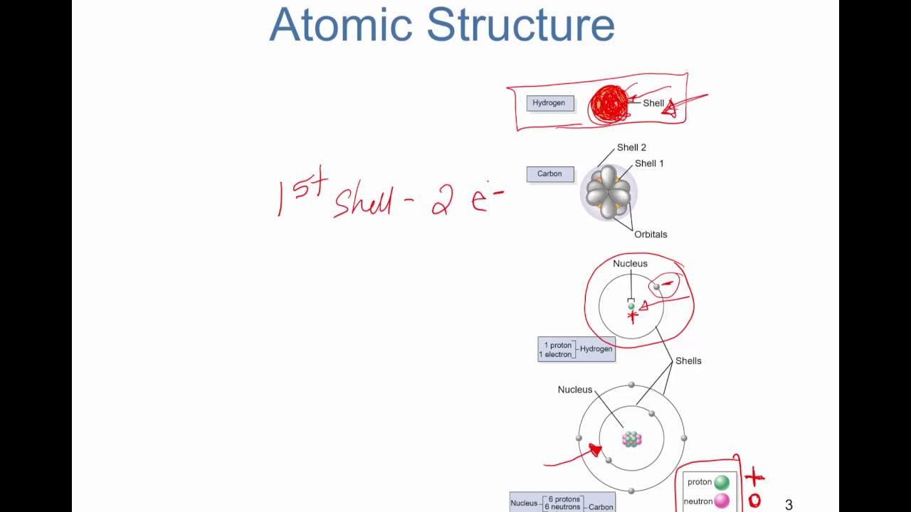 Chapter 2 1 Structure Determines Function - YouTube