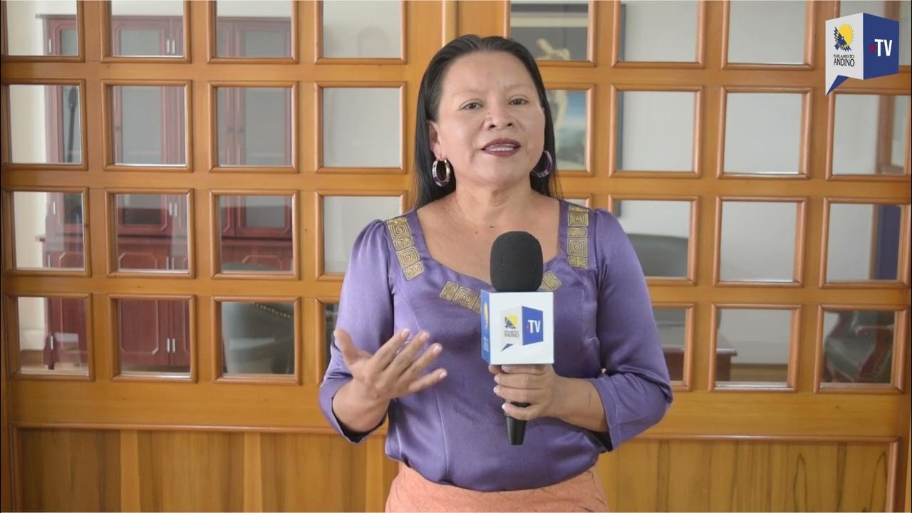 Comisión V: Fortaleciendo los Derechos Humanos y el Desarrollo Social en la región Andina - YouTube