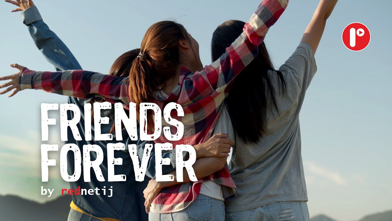Friends Forever | A Lifelong Celebration of Friendship | Friendship ...