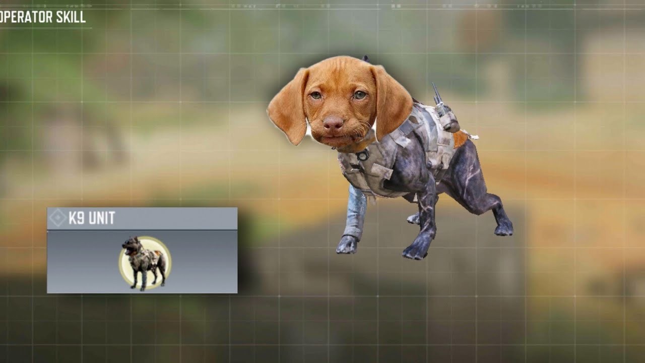 What Da Dog doing... | CODM - YouTube