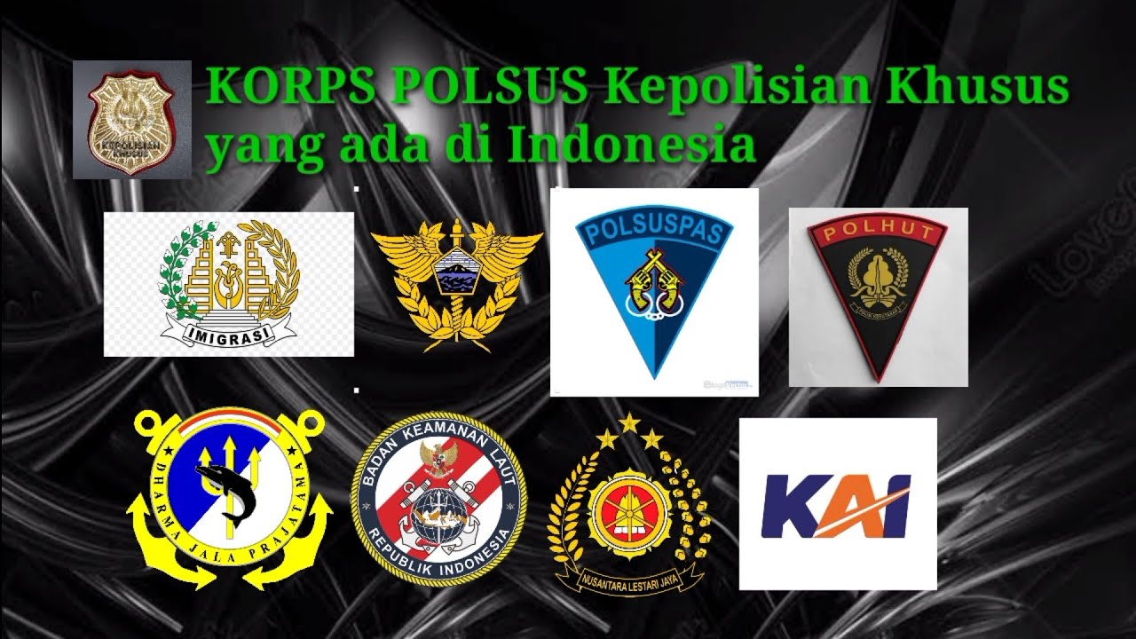 POLSUS-POLSUS berbagai instansi yang ada di Indonesia ?!? - YouTube