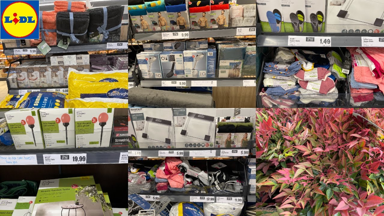 WHAT’S NEW IN MIDDLE OF LIDL THIS WEEK SUNDAY 31 JULY 2022 | LIDL HAUL ...