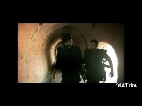 Şefkat Tepe Sungurlar