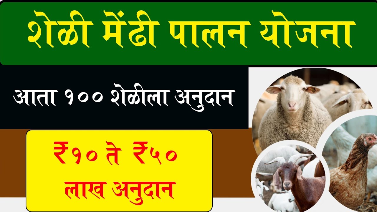 आता १०० शेळ्यांना मिळणार अनुदान | NLM scheme new guidelines - YouTube
