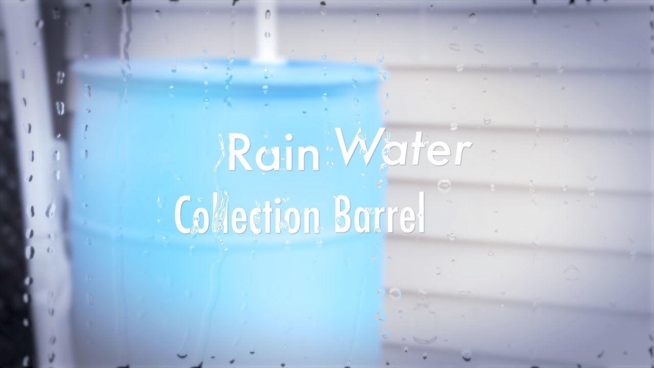 How To DIY Rain Collection Barrel from Plastic Food Grade Drum - YouTube