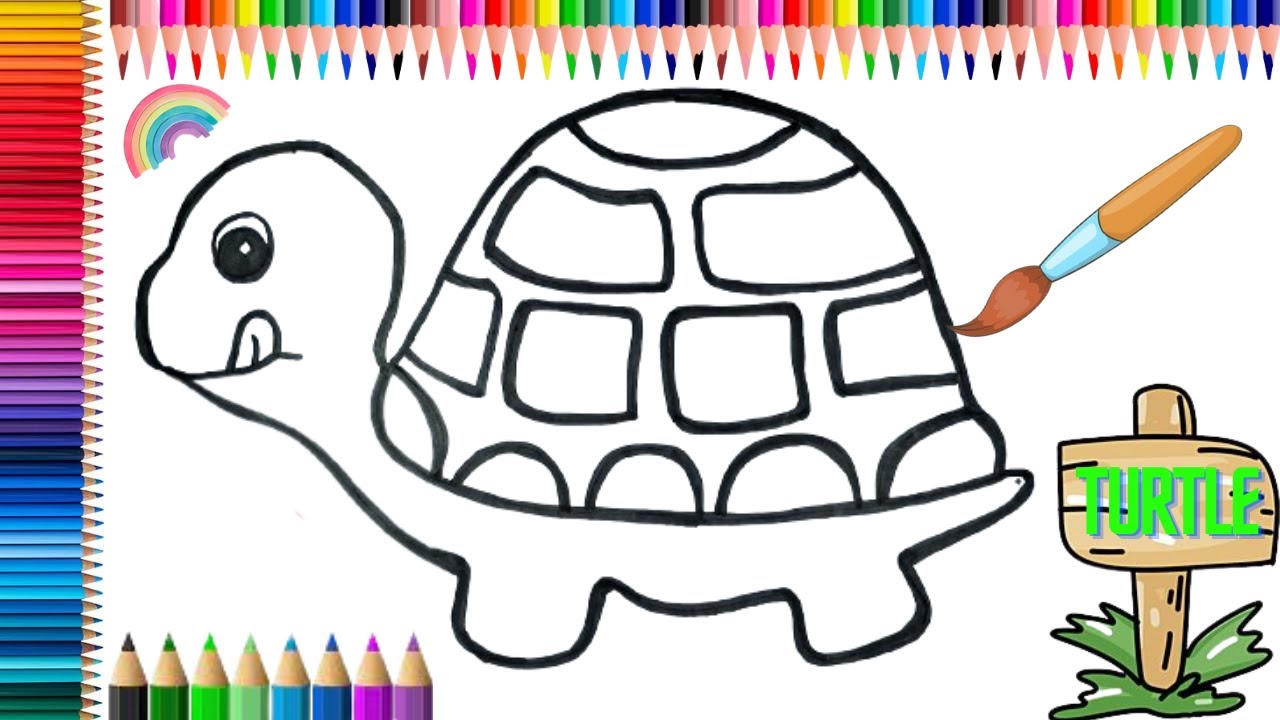 How to Draw and Paint a Turtle (Tortoise) for Kids. - YouTube