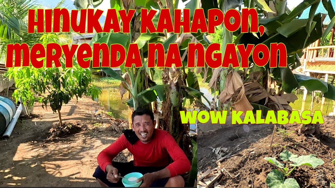 Magndang pang dilig talaga ang tubig fishpond | Ang bilis ng kalabasa ...