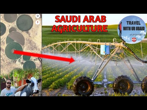 Desert farming in saudi |Agricultural Farmland | Agriculture in Saudi ...