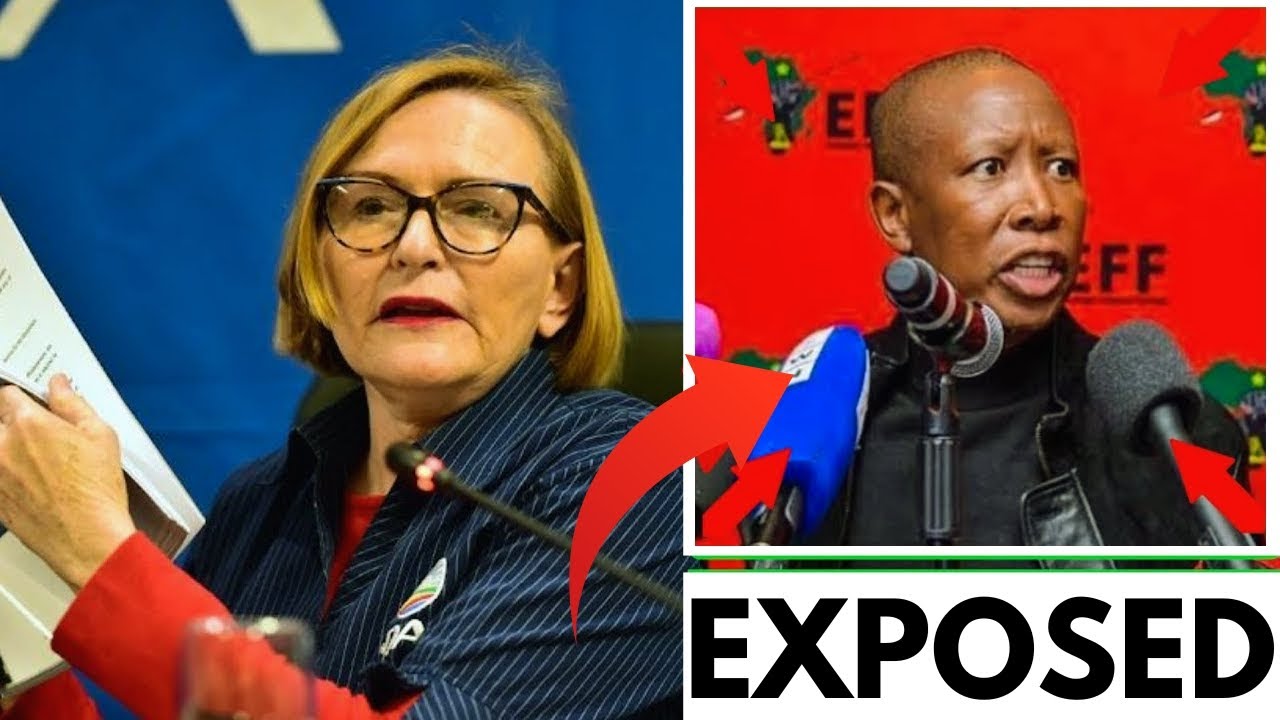 Helen Zille Backs UK Arrest Warrant for Julius Malema — 'He Must Face ...