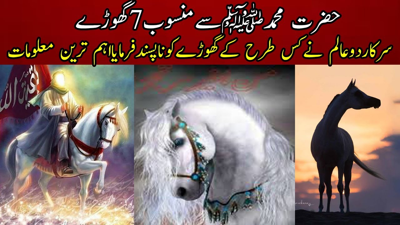 Horses of Prophet Muhammad SAW || حضرت محمدﷺکےسات گھوڑے|| Horse ...
