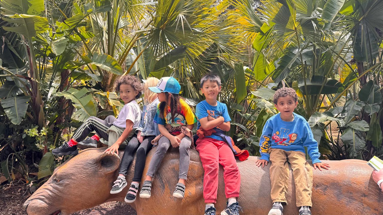 School Field Trip - San Diego Zoo - YouTube