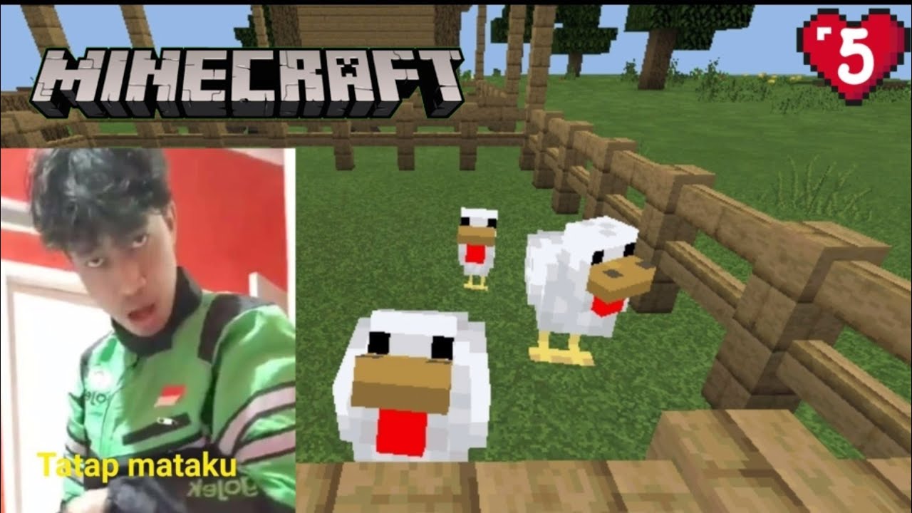 Berternak ayam dari Gilang! Minecraft Series | episode 05 - YouTube
