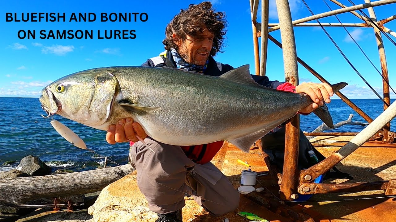 Bluefish and Bonito On Samson Lures Part 2 - YouTube